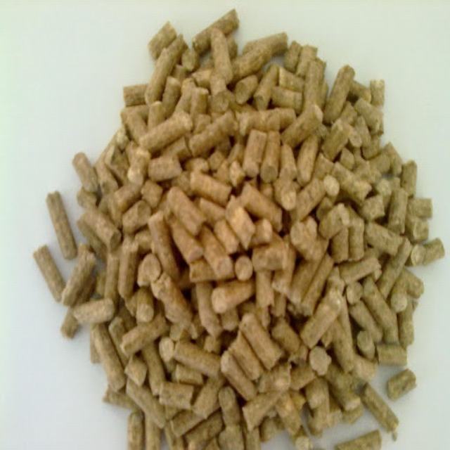 TAPIOCA PELLET – PAG EXPORT